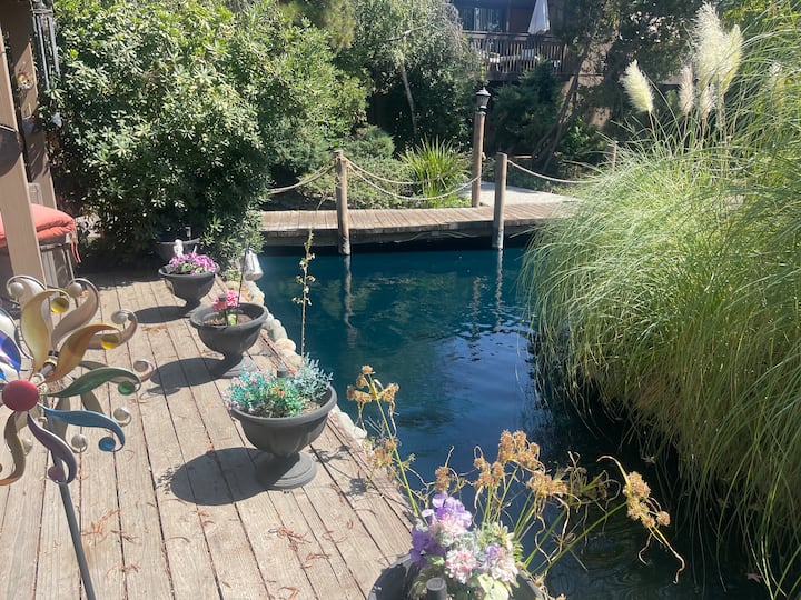 Relaxing With An Intimate View, Koi And Duck Pond - Sacramento, CA