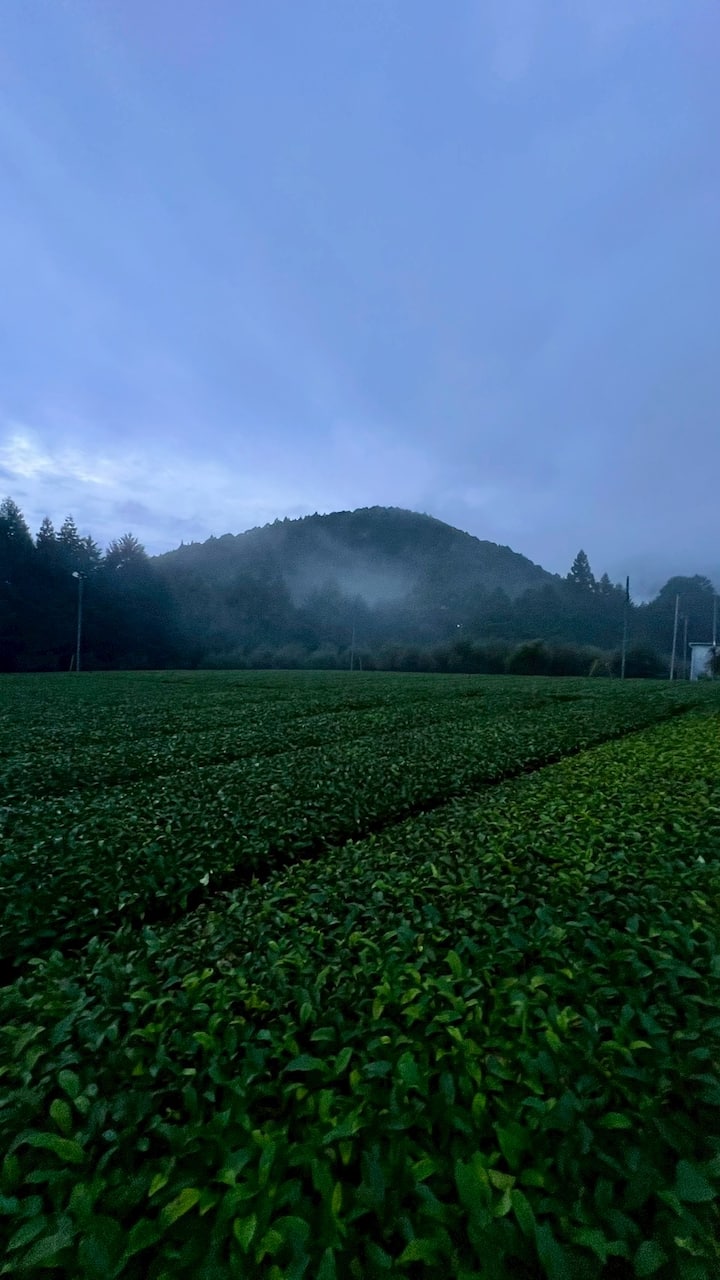 お酒が呑める農家民宿(一泊二食付き)
農作日和 たお酉 - 島田市