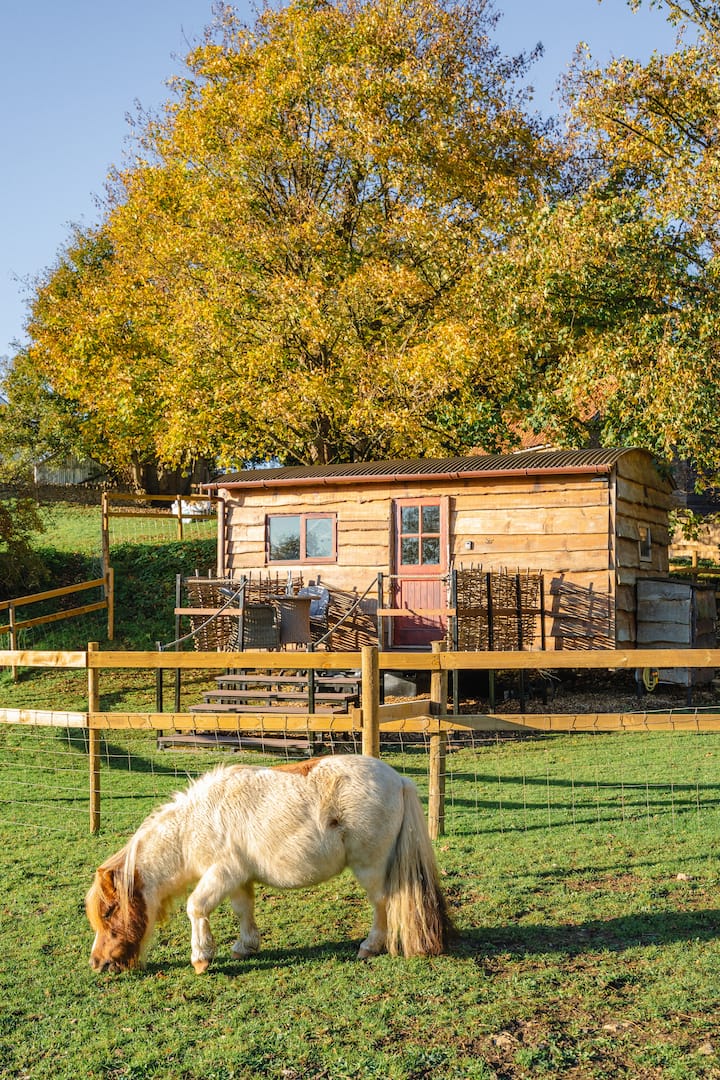 The Cosy Goose - Tetbury