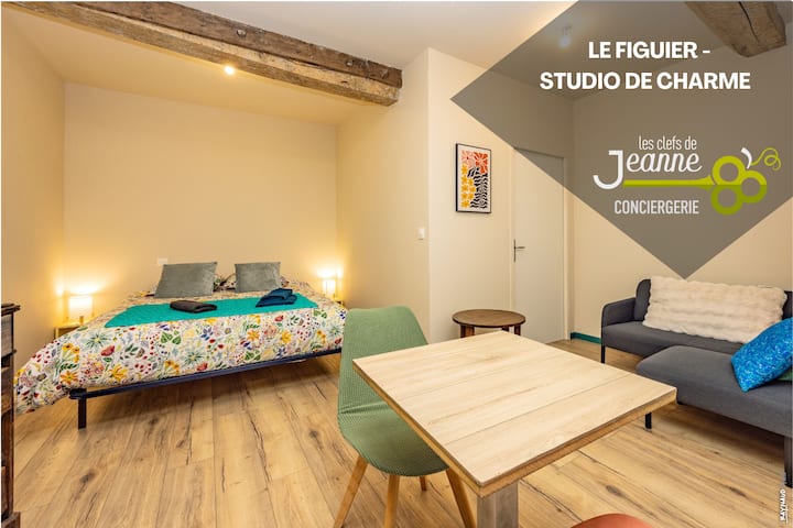 Le Figuier - Studio De Charme - ibis Styles Toulouse Lavaur