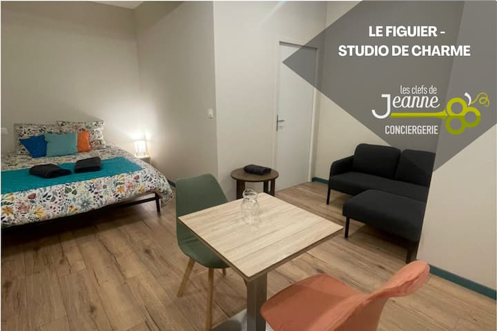 Le Figuier - Studio De Charme - Lavaur