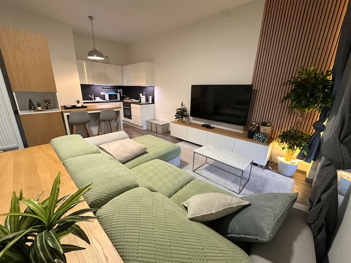 Superbe Appartement Moderne Avec Garage - Robertsau