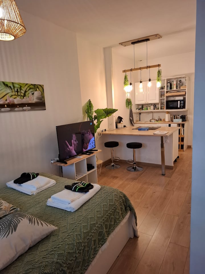 La Casita - Gare St-roch (Clim, Wifi, Tv) - Montpellier