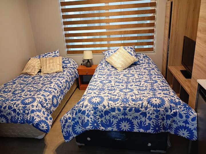 Departamento Estudio Céntrico Con Wifi - Temuco