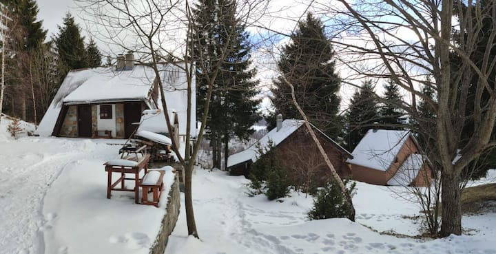 Stone & Wood Chalet In The Pines - Kopaonik