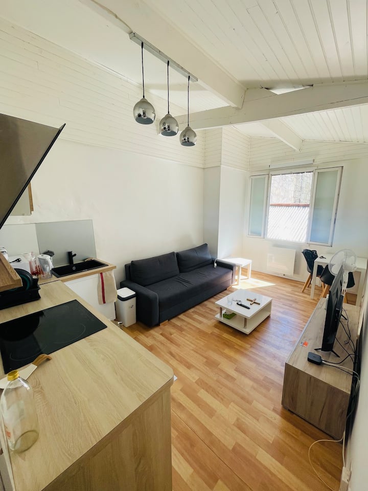 Appartement T2 Pour 4 Places Centre Ville - Bordeaux
