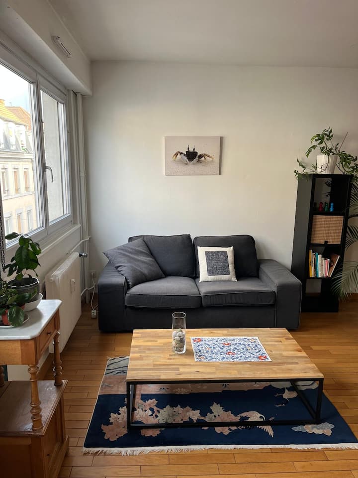 Appartement Charmant Proche Gare Et Centre-ville - Strasbourg