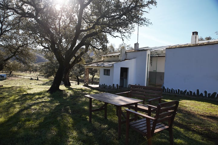 Casa De La Matanza Y Del Guarda - Nerva