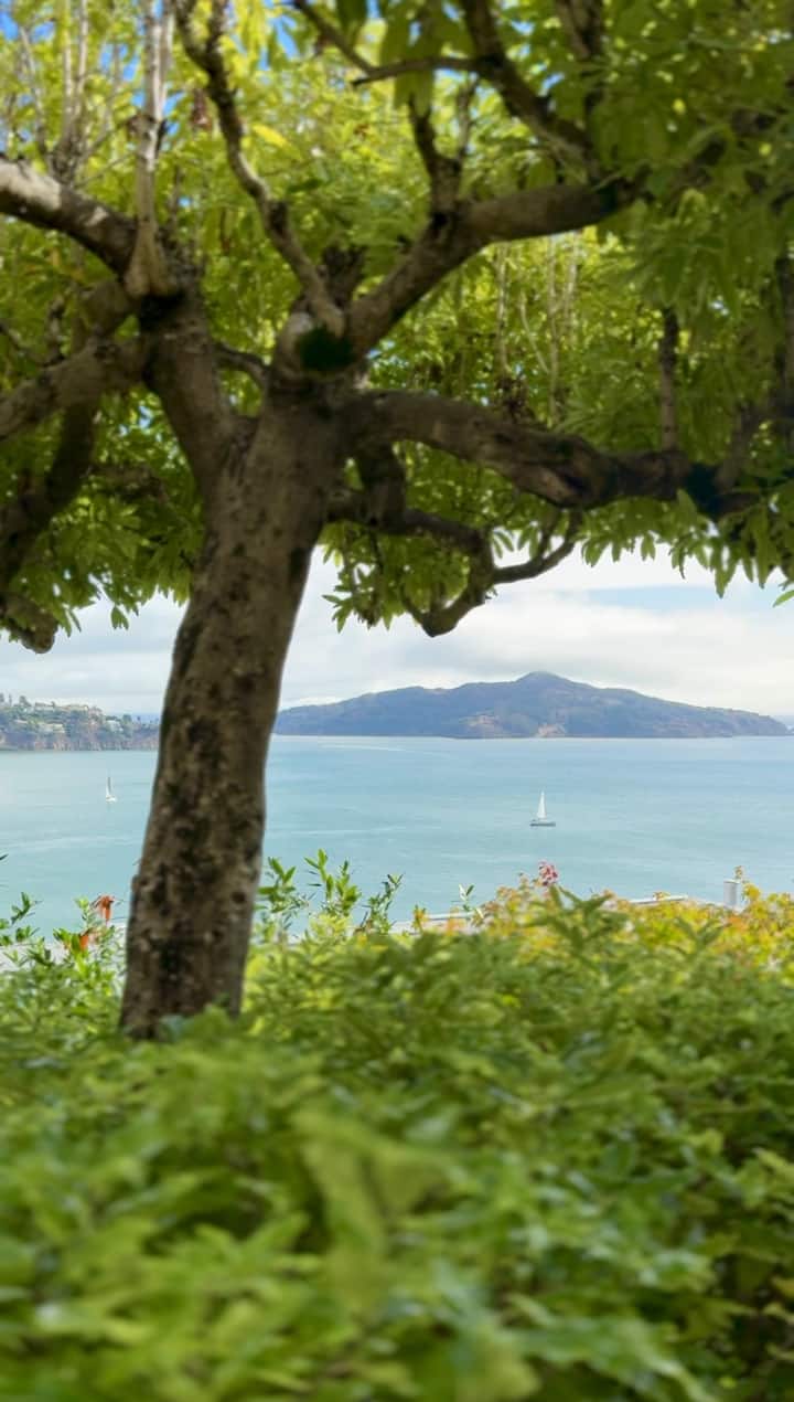 Sausalito Sanctuary - Sausalito, CA