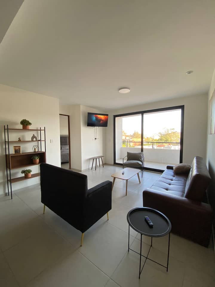 Hermoso Departamento Céntrico En San Luis Potosí - Mexique