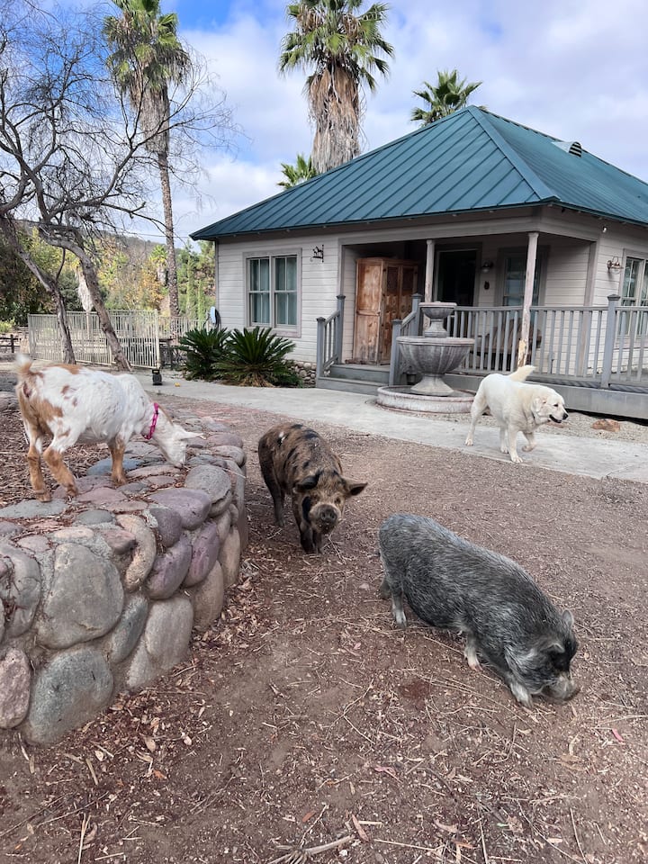 Ranch Getaway Guest House - 폴브룩