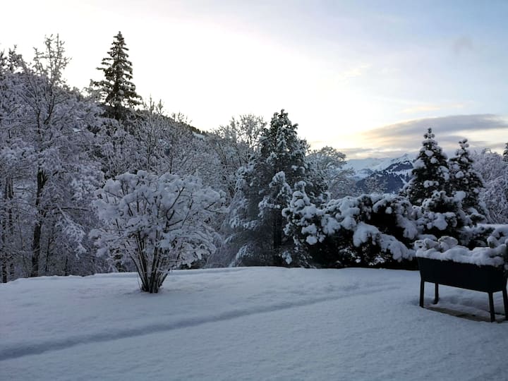 Stunning Apartment Walking Distance From Ski Lifts - Rougemont