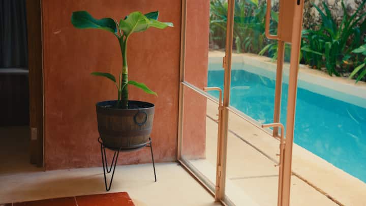 El Colibrí: Habitación Con Baño Privado. - Mérida