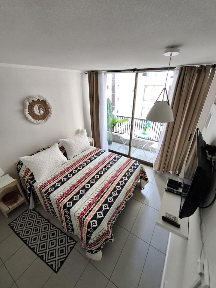 Hermoso Depto. Cercano A Estación Metro Ecuador. - Chile