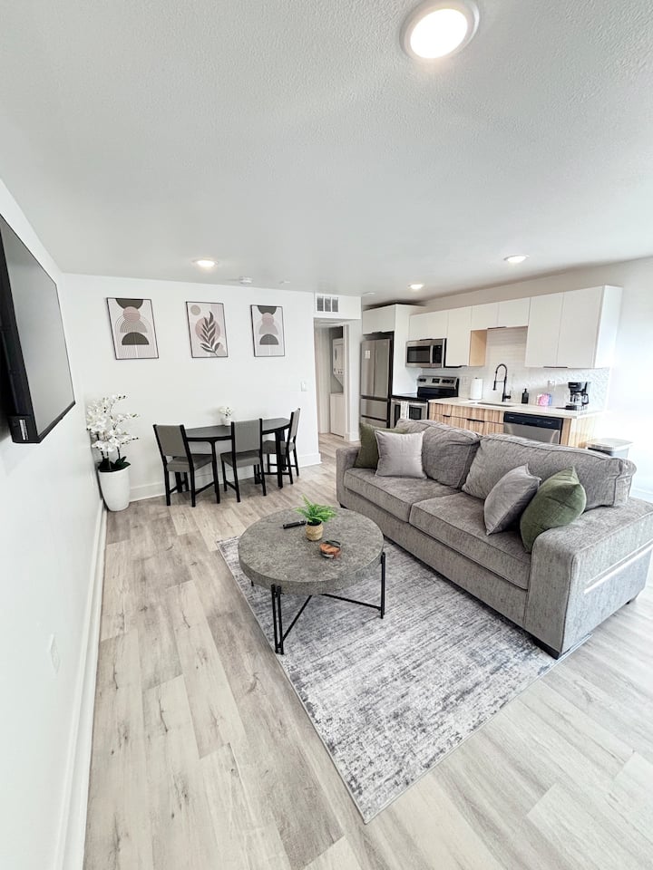 New Modern 1br Apartment Near Downtown Dallas - Dallas, TX