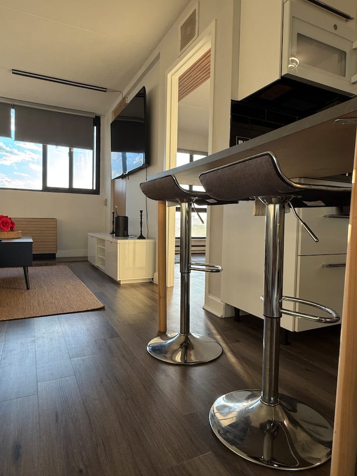 Modern Luxe 1 Bed W/ Skyline Views & Free Parking - Stamford, CT