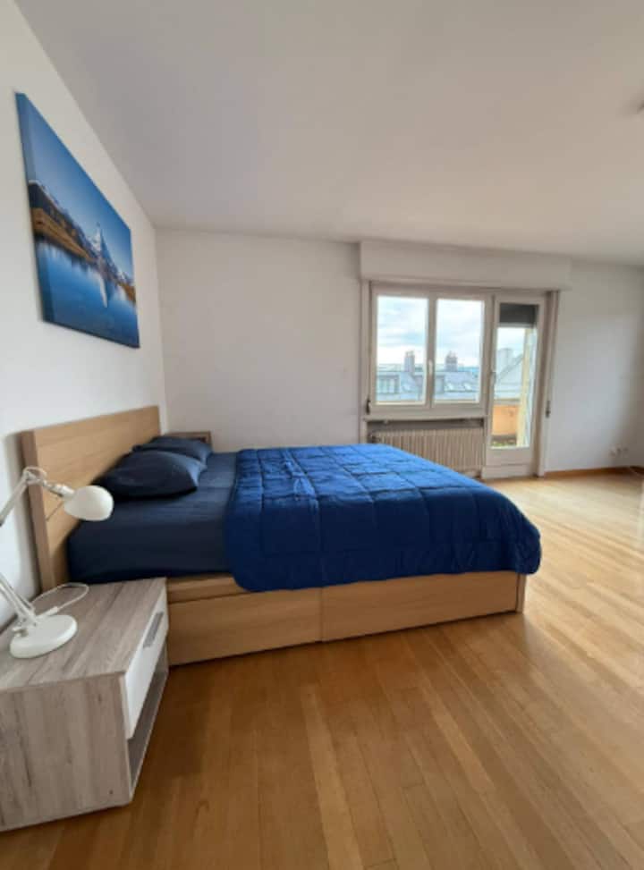 Döltschihalde Apartment Alpha Interim Homes Zürich - Canton de Zürich
