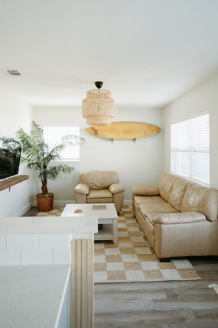 Checkered Palm - Clearwater, FL