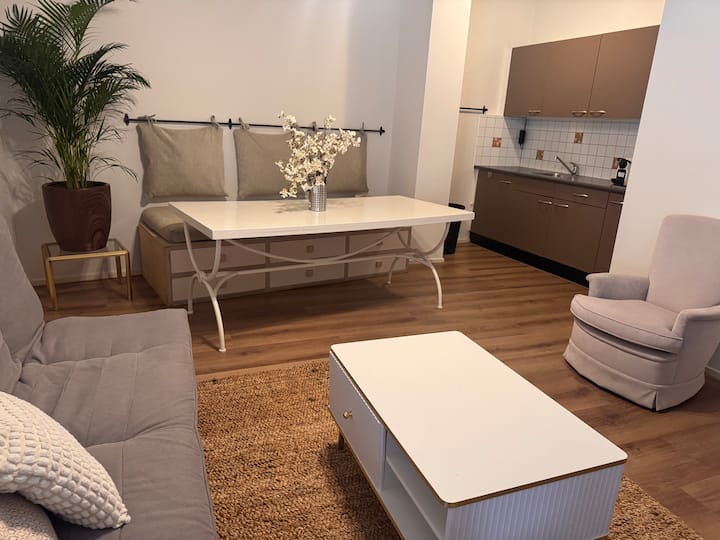 Gb | Charming Ground Floor Apartment | For 3p - Eindhoven