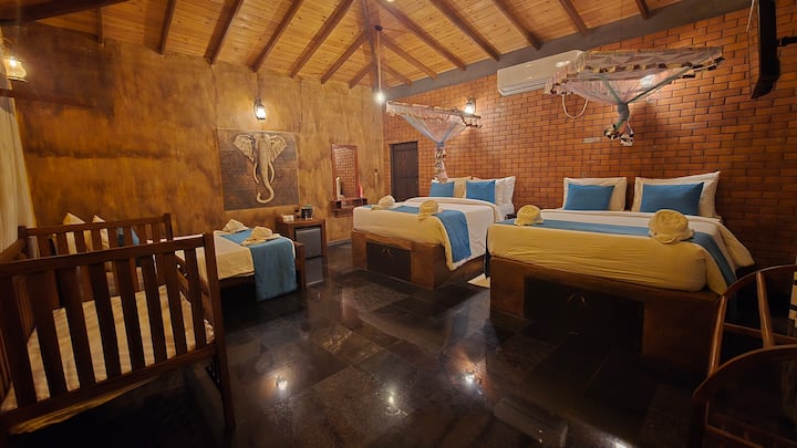 We Provide Rooms, All Meals, Safaris, Transport. - Sri Lanka