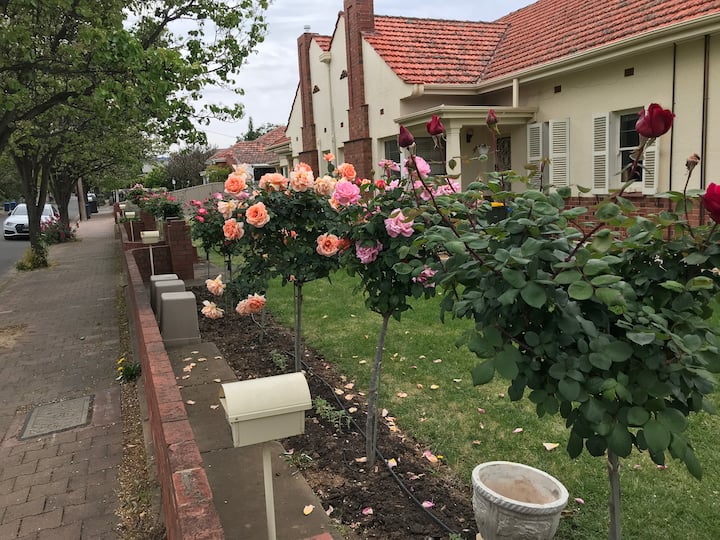 Hyde And Seek - Adelaide