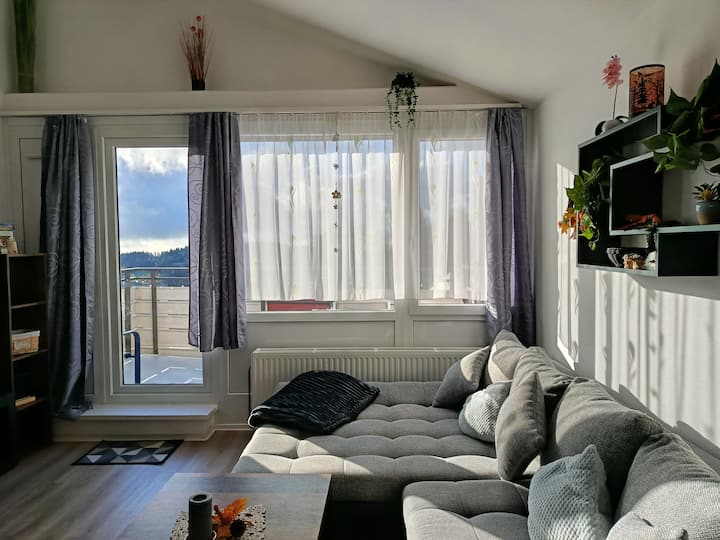 Ferienwohnung Hirschs Dachstüberl - Balkon & Pool - Sankt Englmar