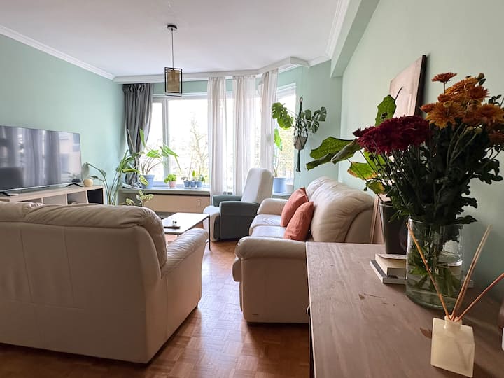 Apartamento Acogedor Zona Schuman - Bruxelles