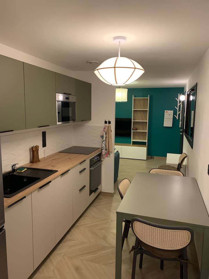 L’écrin Du Lac, Appartement Cosy Avec Vue Lac - Le Bourget-du-Lac