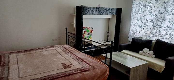 Helle 1-zimmer-wohnung Mit Großem Doppelbett - Hanovre