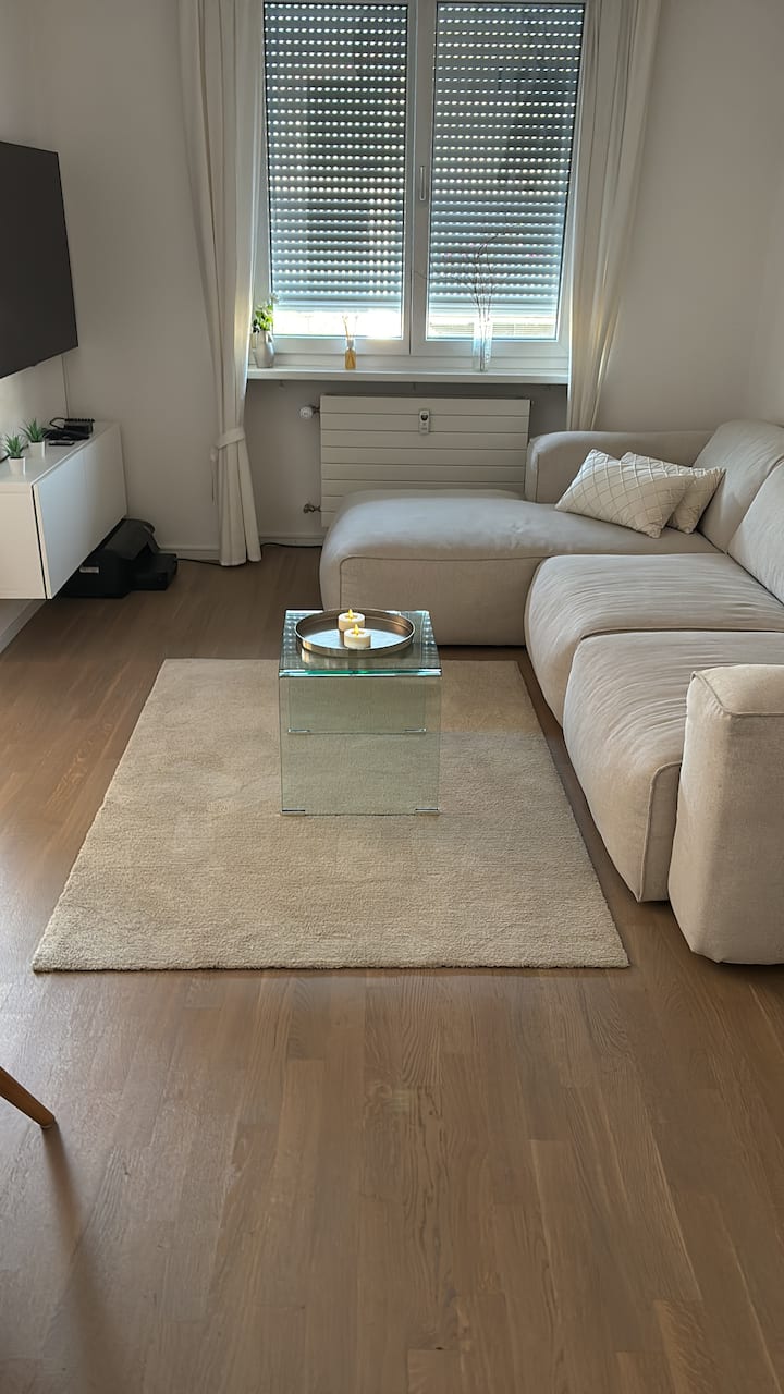 Neue Wohnung Ab Sofort Bis 06. April Zu Vermieten - Basel