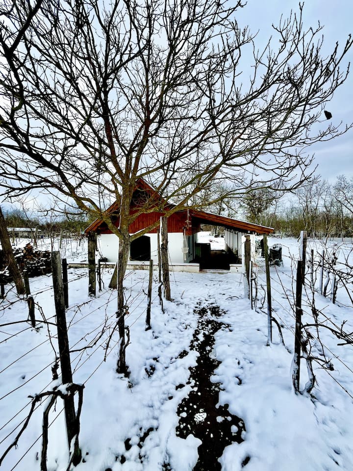 Vályog Kuckó - Balatonfenyves