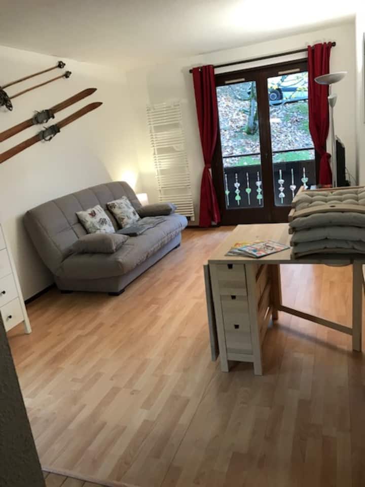 Appartement à La Montagne, Petit Châtel. - Châtel