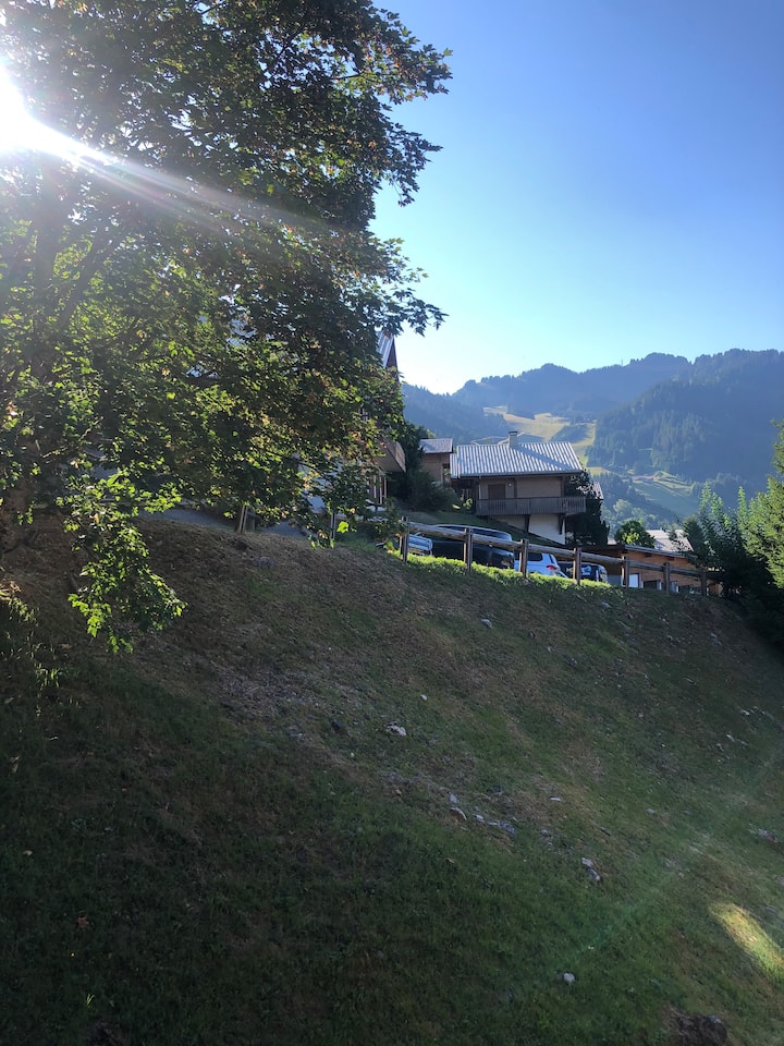 Appartement à La Montagne, Petit Châtel. - Châtel