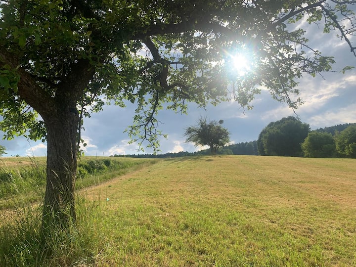 Panoramablick Auf Den Spessart, Schöner Stellplatz - Spessart