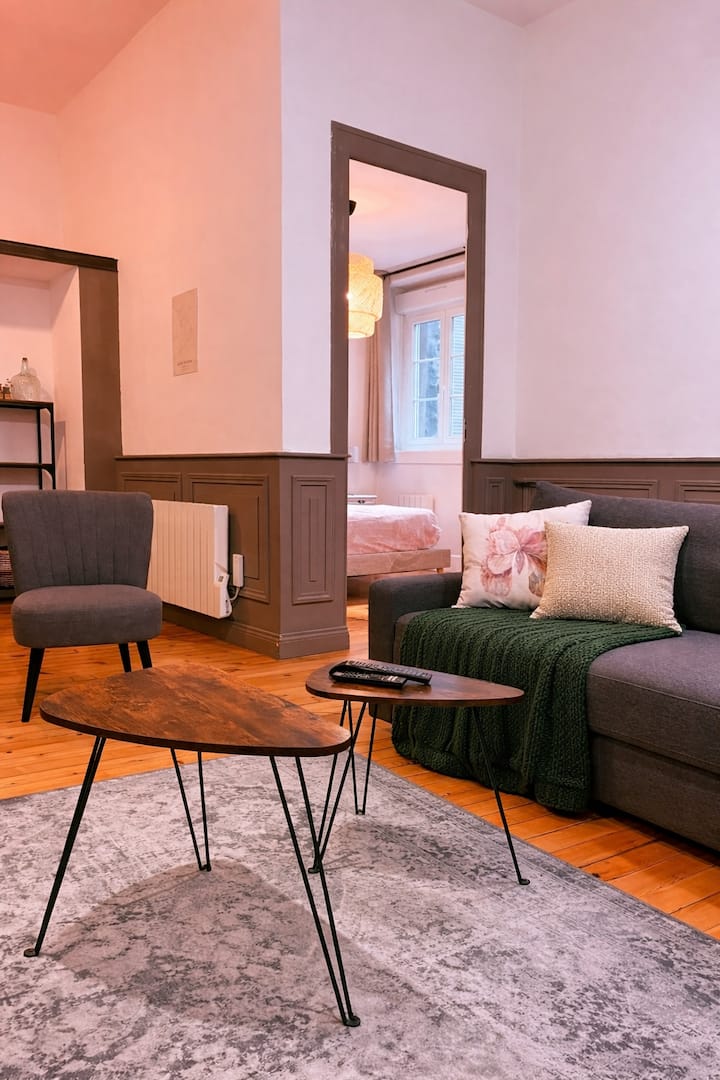 𝓛𝓮 𝓑𝓮𝓻𝓷𝓸𝓾 Calme, Central, Historique - Saint-Étienne