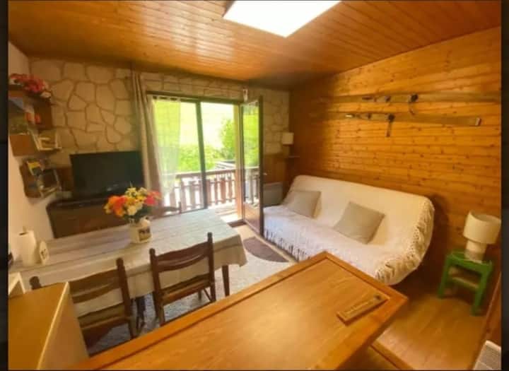 Appartement Type Chalet Savoyard Cosy - Aillon-le-Jeune