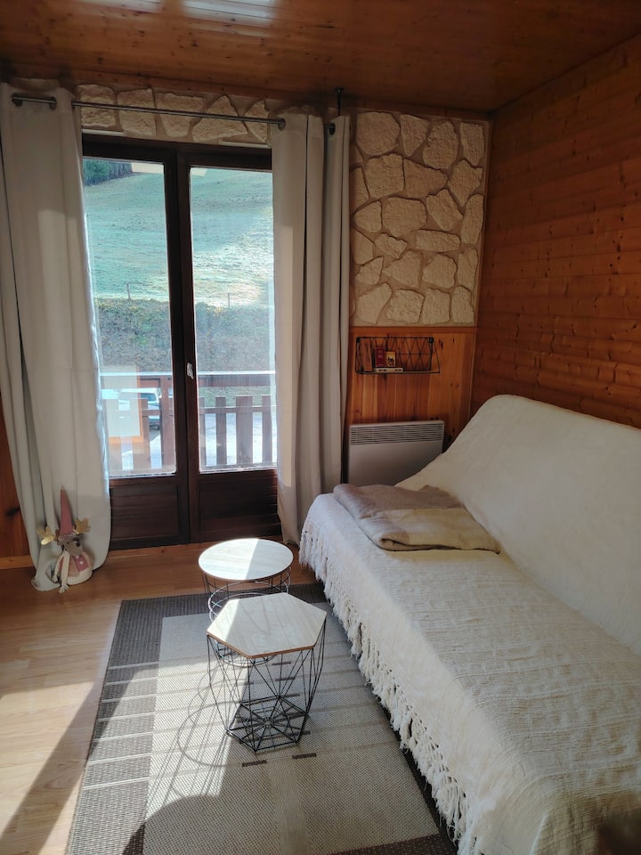 Appartement Type Chalet Savoyard Cosy - Aillon-le-Jeune