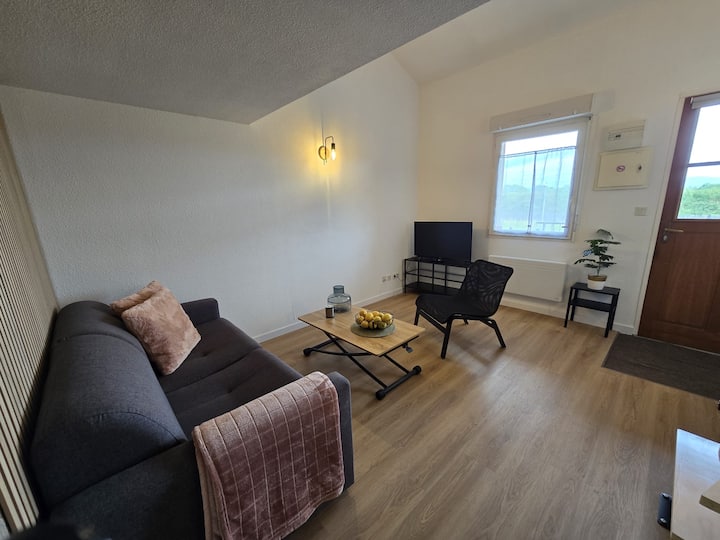 Proche Transport. Place De Parking - Saint-Genis-Pouilly