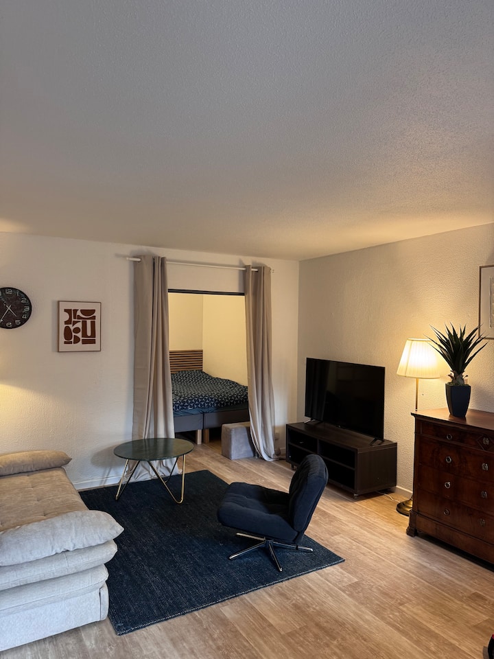 Appartement Cosy Du Kaligone/ Parc Expo Mulhouse - Kingersheim