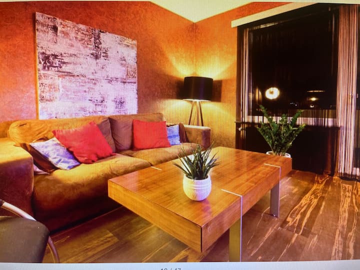 Special Retreat Apartment, Workplace Nahe Am Rhein - Basel