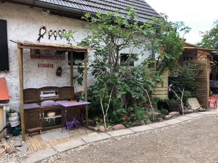 Chambre En Alsace - Sélestat