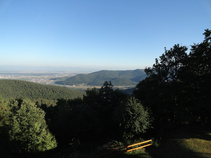 Studio Dans Station Climatique - Lapoutroie
