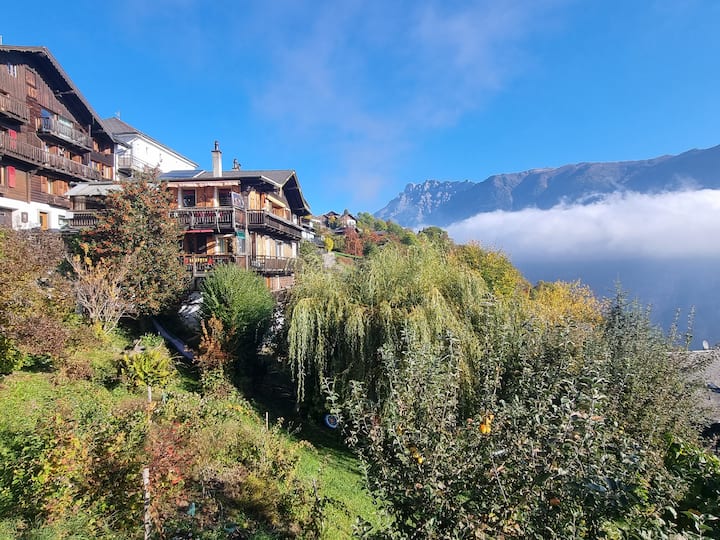Joli Studio Aux Granges (Salvan). - Martigny