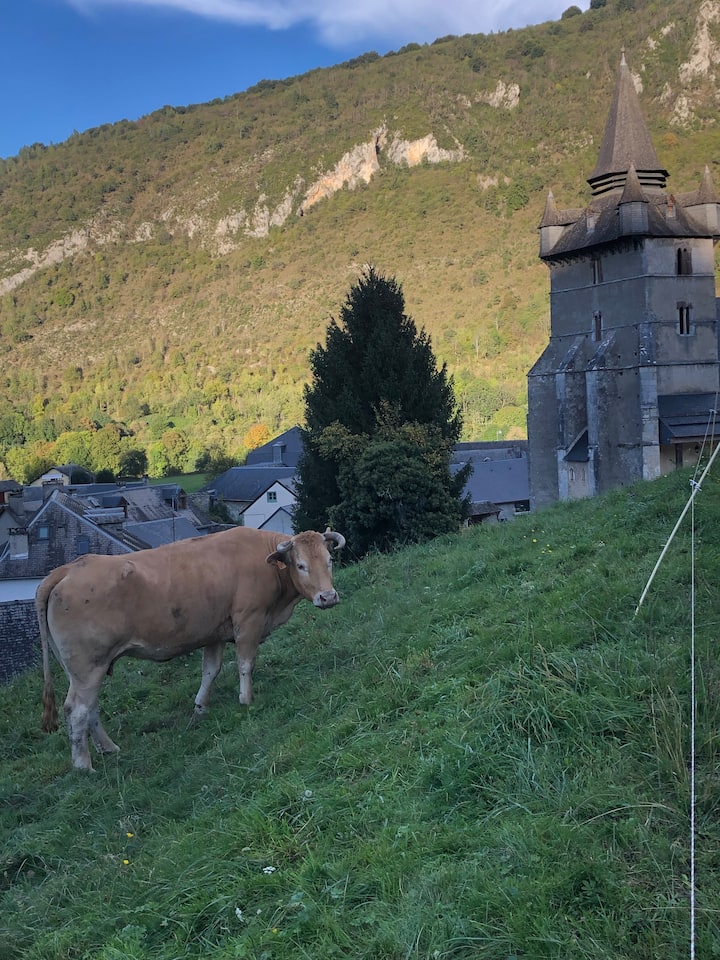 Au Fil De L’adour Chambre Cosy Et Calme - Arreau