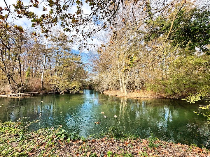 Maison Bord De Rivière Le Thor - Le Thor