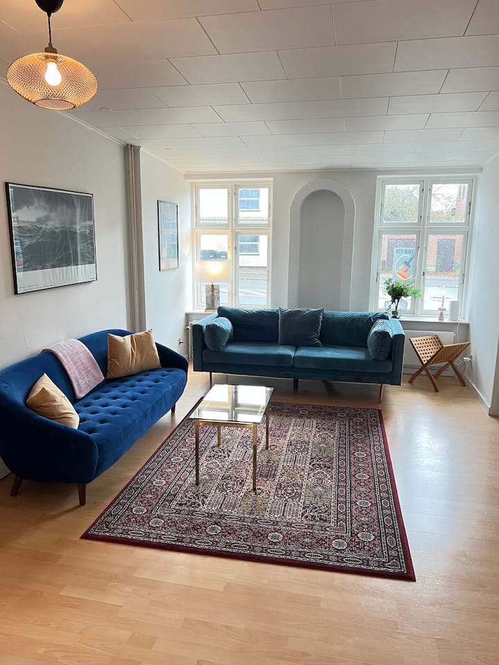 Spacious Apartment Near City & ÅLøkke Forest - Odense