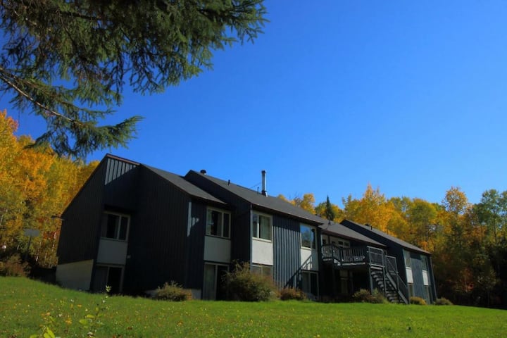 Nature Grand Chalet Et Spa, Un Pur Ressourcement! - Québec