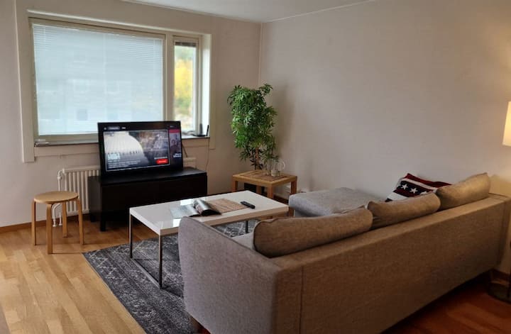 Entire Apartment With A Beautiful View Central Gbg - Gothenburg
