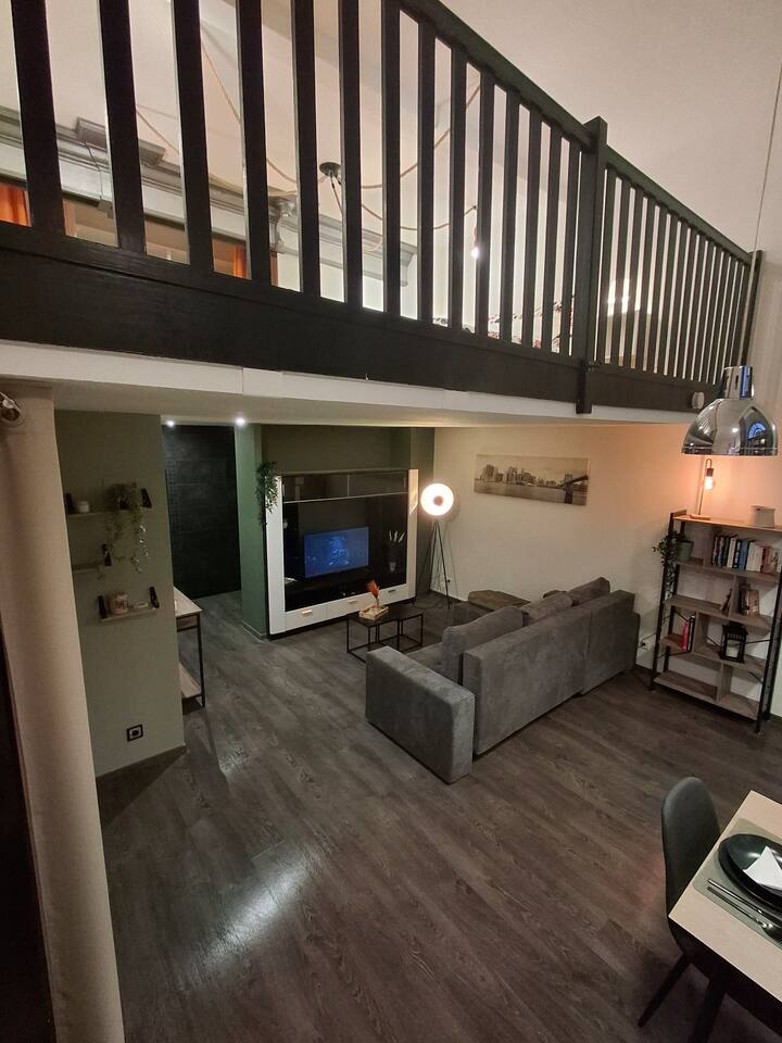 Appartement Type Loft - Guebwiller