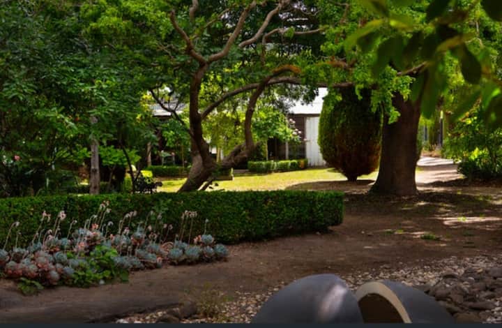 The Garden Studio Castlemaine - Castlemaine